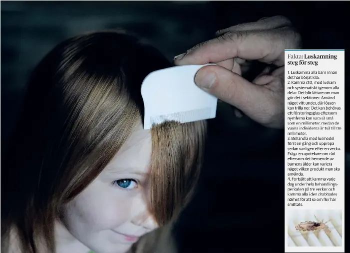 Kamma, kamma är det som gäller när lössen slår till - PressReader