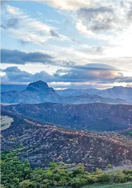 Ko Tui Nadrau Kei Ira Na Nona Tamata - PressReader