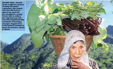 A glimpse of ‘Bago tribe’ life in the Sugpon mountains - PressReader