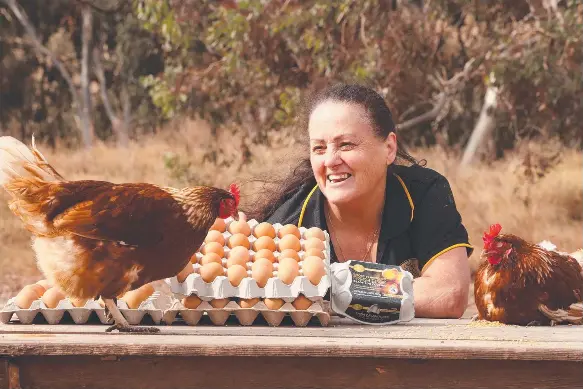 Julie’s eggs idea no smoke screen - PressReader