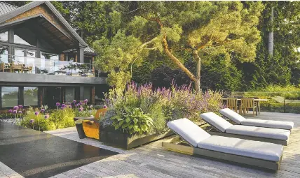 Create an outdoor sanctuary - PressReader