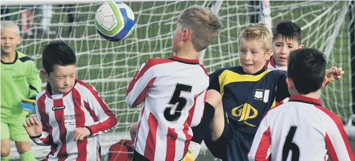 NATHAN, ETHAN, SHAY AND THOMAS ARE CITY SLICKERS - PressReader