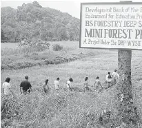 DBP Forest bears fruit in Iloilo - PressReader