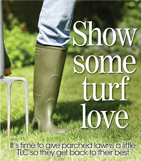 Show some turf love - PressReader