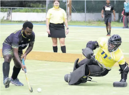 Hockey president confident Jamaica will leave its mark at World Cup ...