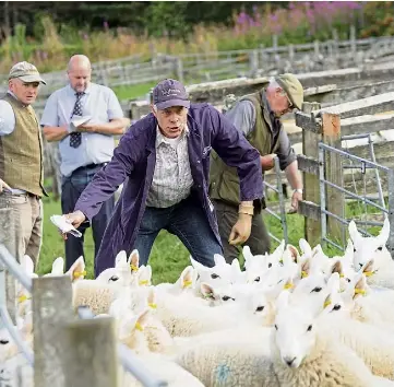 Organisers delighted by sale turnout - PressReader