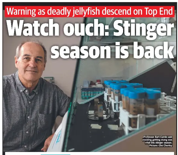 Watch ouch: Stinger season is back - PressReader