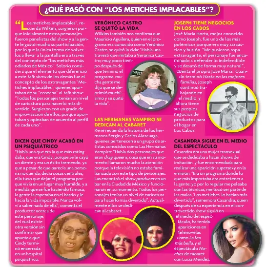 ¿QUÉ PASÓ CON “LOS METICHES IMPLACABLE­S”? - PressReader