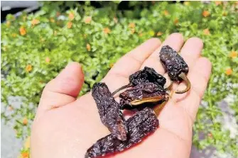 Se duplicó el precio del kilo de chile rayado - PressReader