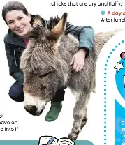 DIARY OF A DAY ON OUR FARM! - PressReader