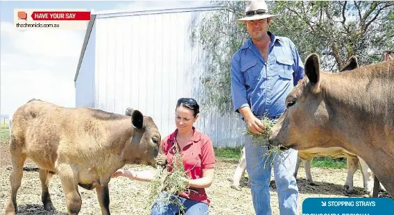 Couple distraught after dog attacks - PressReader