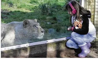 Des places à gagner pour le zoo de Jurques - PressReader