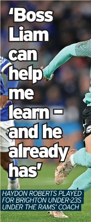 ‘Boss Liam can help me learn – and he already has’ - PressReader