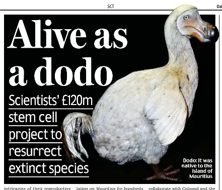 Alive as a dodo - PressReader