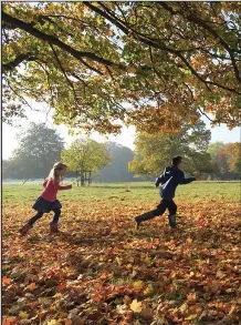 Summer bows out in a blaze of colour - PressReader