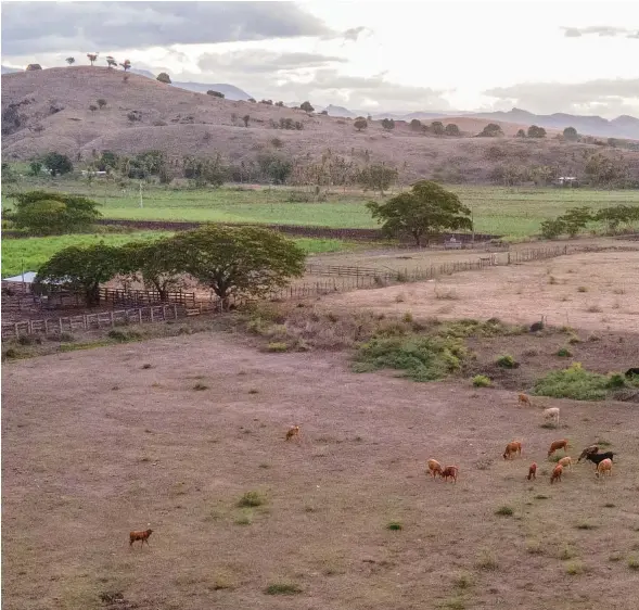 Yaqara Ranch – Far From its Vision - PressReader