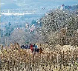 Was die Stadt Radebeul auf ihren Wanderwege­n plant | Sachsische ...