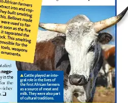 Africa’s first farmers - PressReader