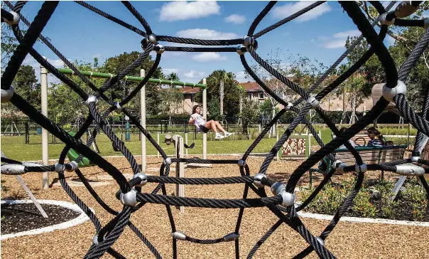 Miami-Dade’s new Tree Island Park preser a wild chunk of the Everglades ...