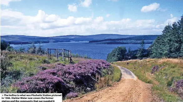 Looking back at what life was like living out in the wilds... - PressReader