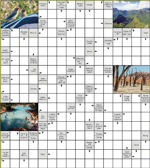 BLOKRAAI - PressReader