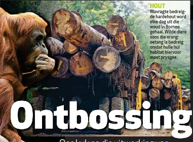 ‘AS ONS NIKS DOEN NIE, SAL DAAR GEEN WOUDE MEER OOR WEES NIE’ - PressReader