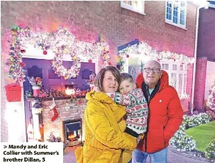 Magical, festive display is raising funds for hospice - PressReader
