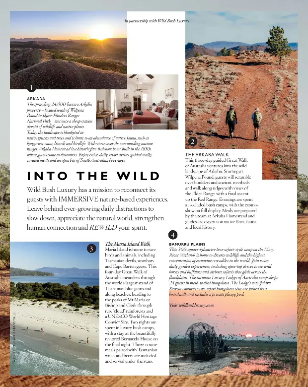 INTO THE WILD - PressReader