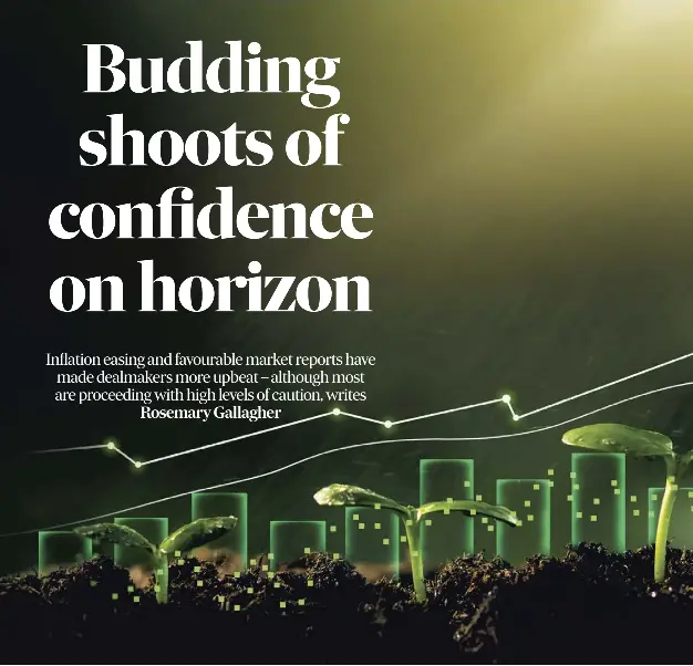 Budding shoots of confidence on horizon - PressReader