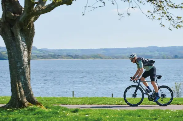 Stayer Crit - PressReader