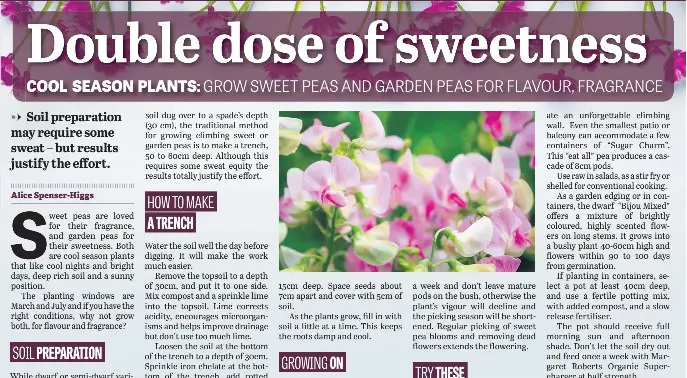 GARDENING Double dose of sweetness - PressReader