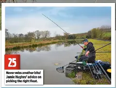 Never miss another bite! Jamie Hughes’ advice on picking the right ...