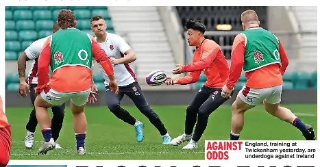 BLOOM OR BUST FOR RED ROSE - PressReader