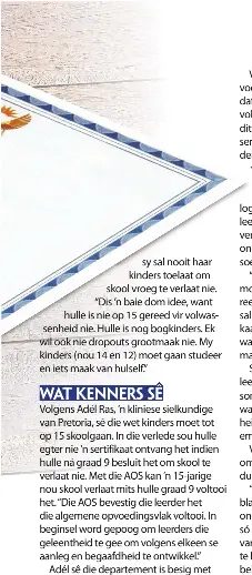 Klaar met skool: Is graad 9 te vroeg? - PressReader