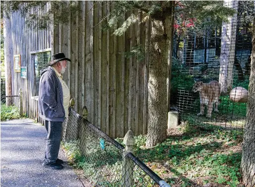 AT A FADING ‘ISLAND OF MISFIT TOYS,’ ZOO ANIMALS FACE A GRIM FATE ...