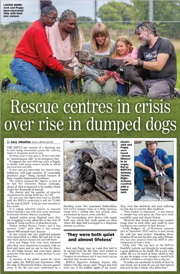 Rescue centres in crisis over rise in dumped dogs - PressReader