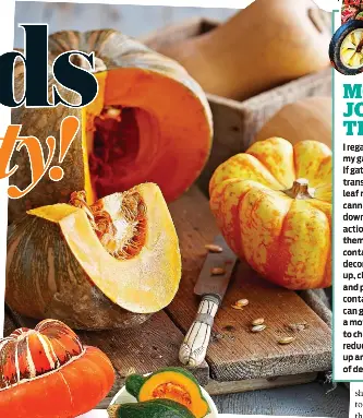 Gourds almighty! - PressReader