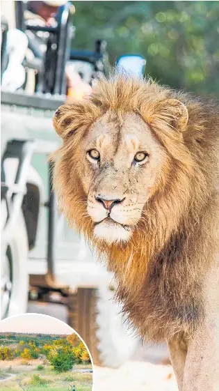 Face to face with a killer - PressReader