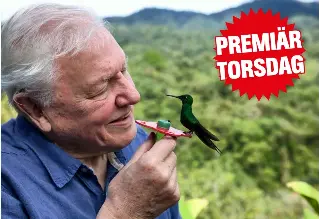 Naturens färger med David Attenborou­gh - PressReader
