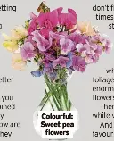 SPOTLIGHT ON: CUT FLOWERS - PressReader