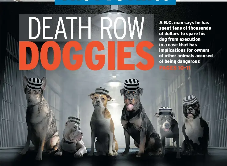DEATH ROW DOGGIES - PressReader