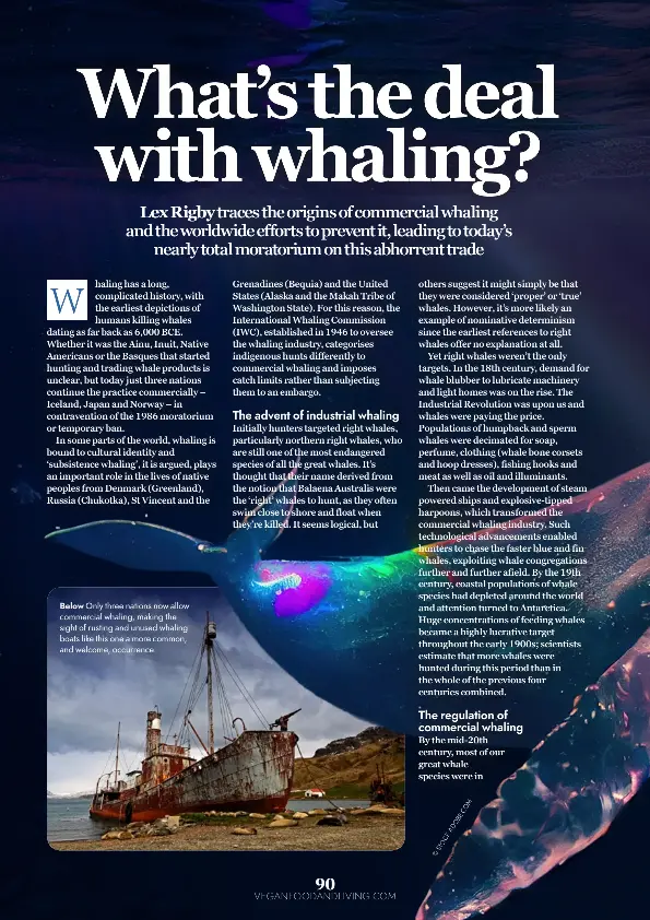 What’s the deal with whaling? - PressReader