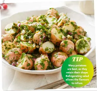 Herbed Potato Salad - PressReader