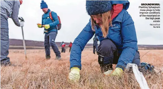 Nurturing nature - PressReader