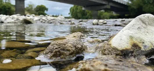 Toxic algae takes hold in atypical conditions - PressReader