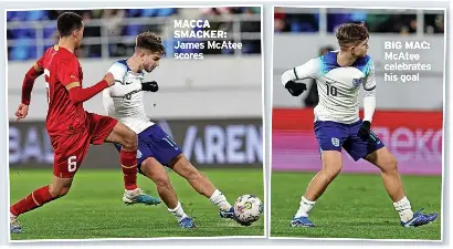 Mca-glee JAMES NETS DOUBLE FOR LIONS - PressReader