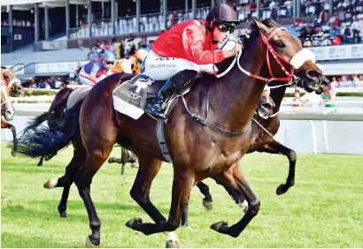 Muzi says go with the Greenlight for the July - PressReader