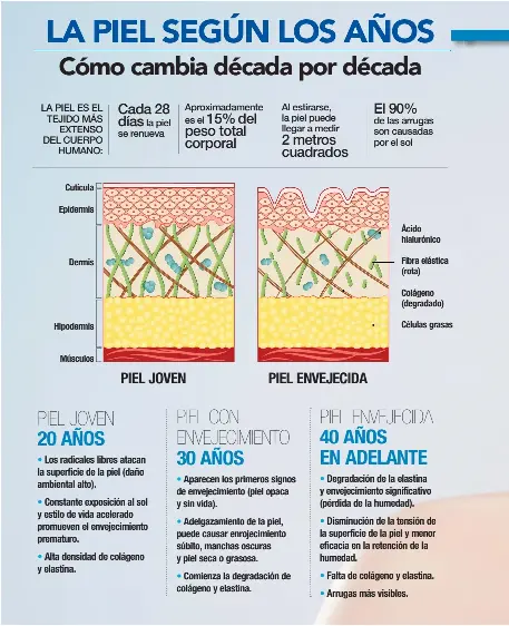 LA PIEL SEGÚN LOS AÑOS - PressReader
