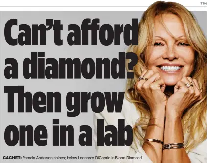 Can’t afford a diamond? Then grow one in a lab - PressReader