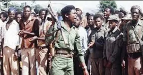 The story of the Second Chimurenga - PressReader